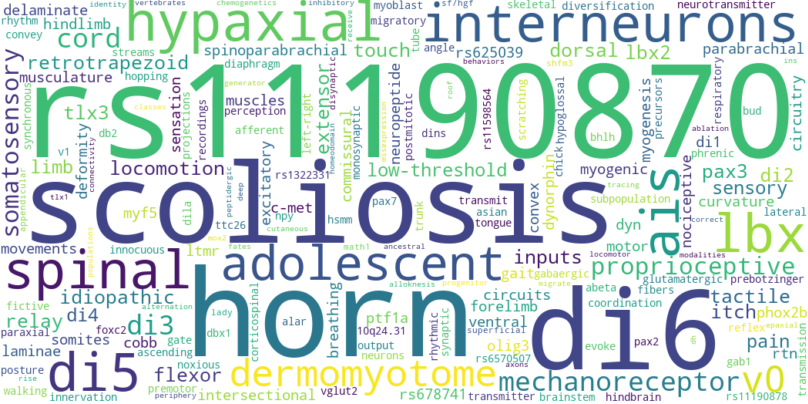 JASPAR - LBX1 - MA0618.2 - profile summary