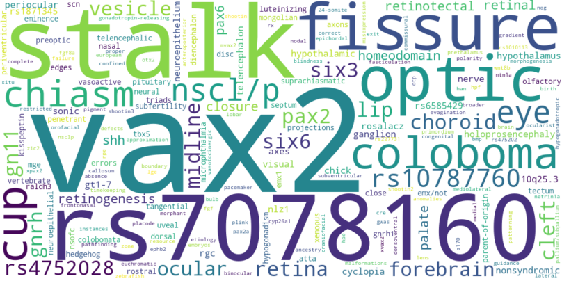 JASPAR - VAX1 - MA0722.2 - profile summary