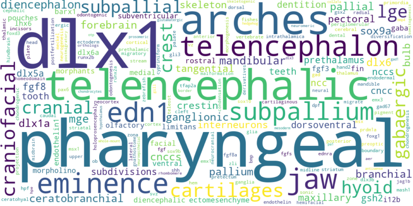 JASPAR - Dlx2 - MA0885.3 - profile summary