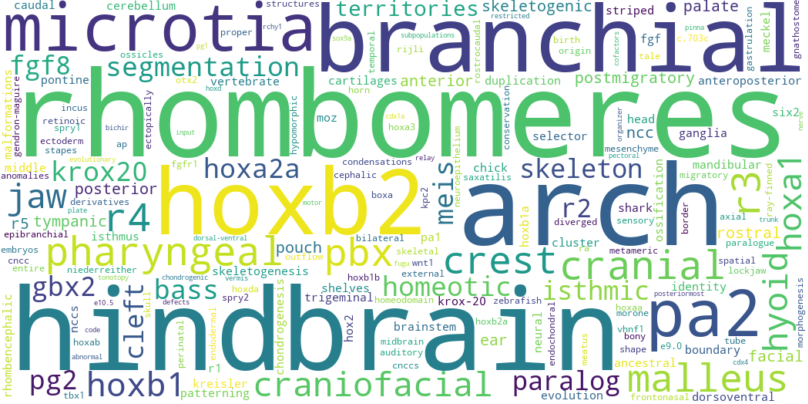 JASPAR - HOXA2 - MA0900.3 - profile summary