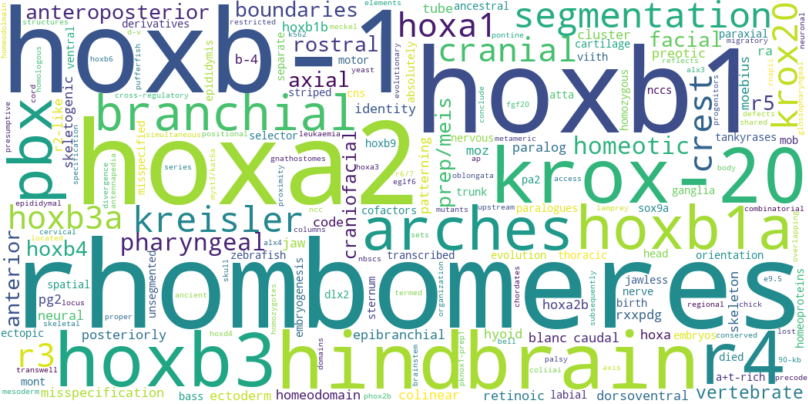 JASPAR - HOXB2 - MA0902.3 - profile summary