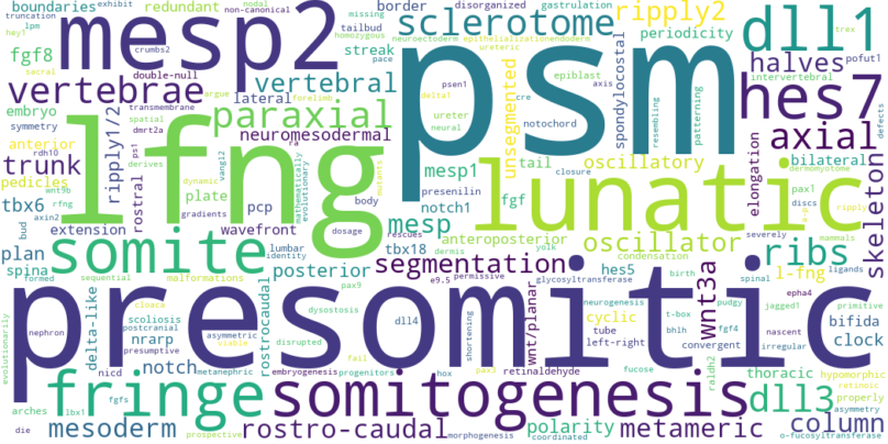 JASPAR - UNCX - MA0721.2 - profile summary