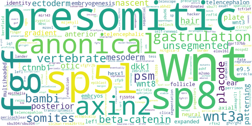JASPAR - SP5 - MA1965.2 - profile summary