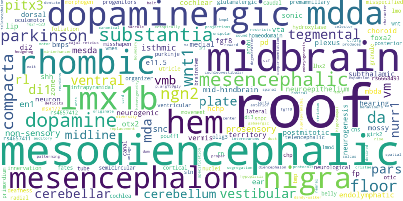 JASPAR - LMX1A - MA0702.3 - profile summary