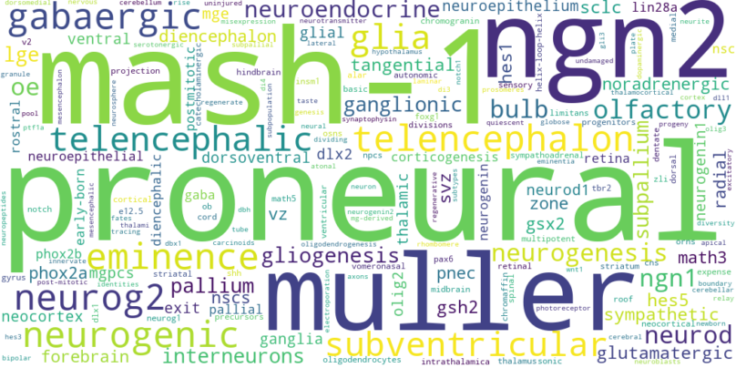 JASPAR - ASCL1 - MA1100.3 - profile summary