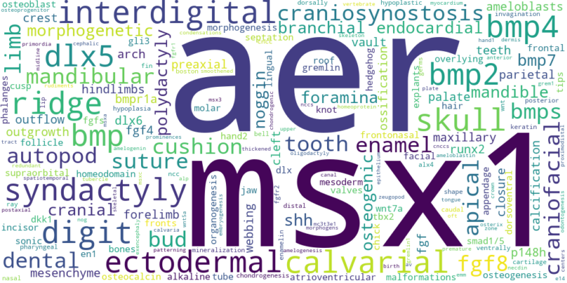 JASPAR - MSX2 - MA0708.3 - profile summary