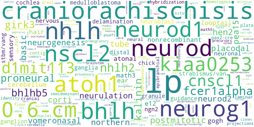 JASPAR - ERF::NHLH1 - MA1938.2 - profile summary