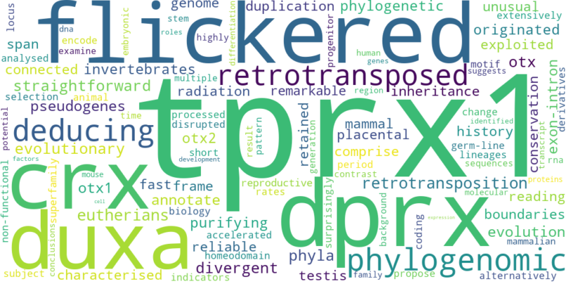 JASPAR - ARGFX - MA1463.2 - profile summary