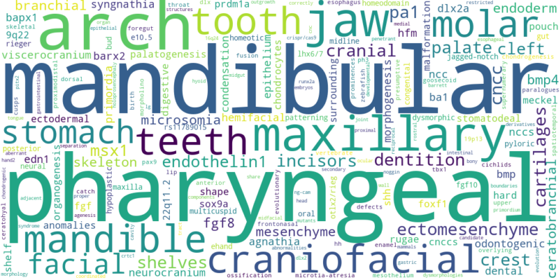 JASPAR - BARX1 - MA0875.2 - profile summary