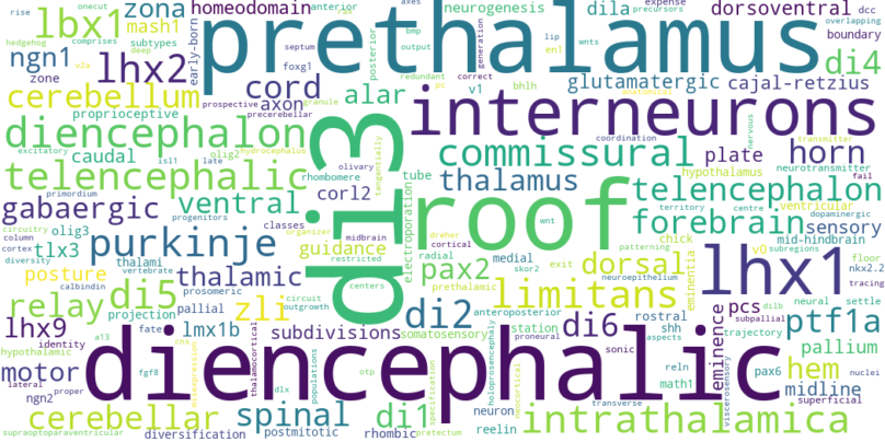 JASPAR - LHX5 - MA1519.2 - profile summary